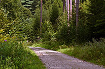Bayerische Landesanstalt für Wald und Forstwirtschaft - Wald ist unser ...